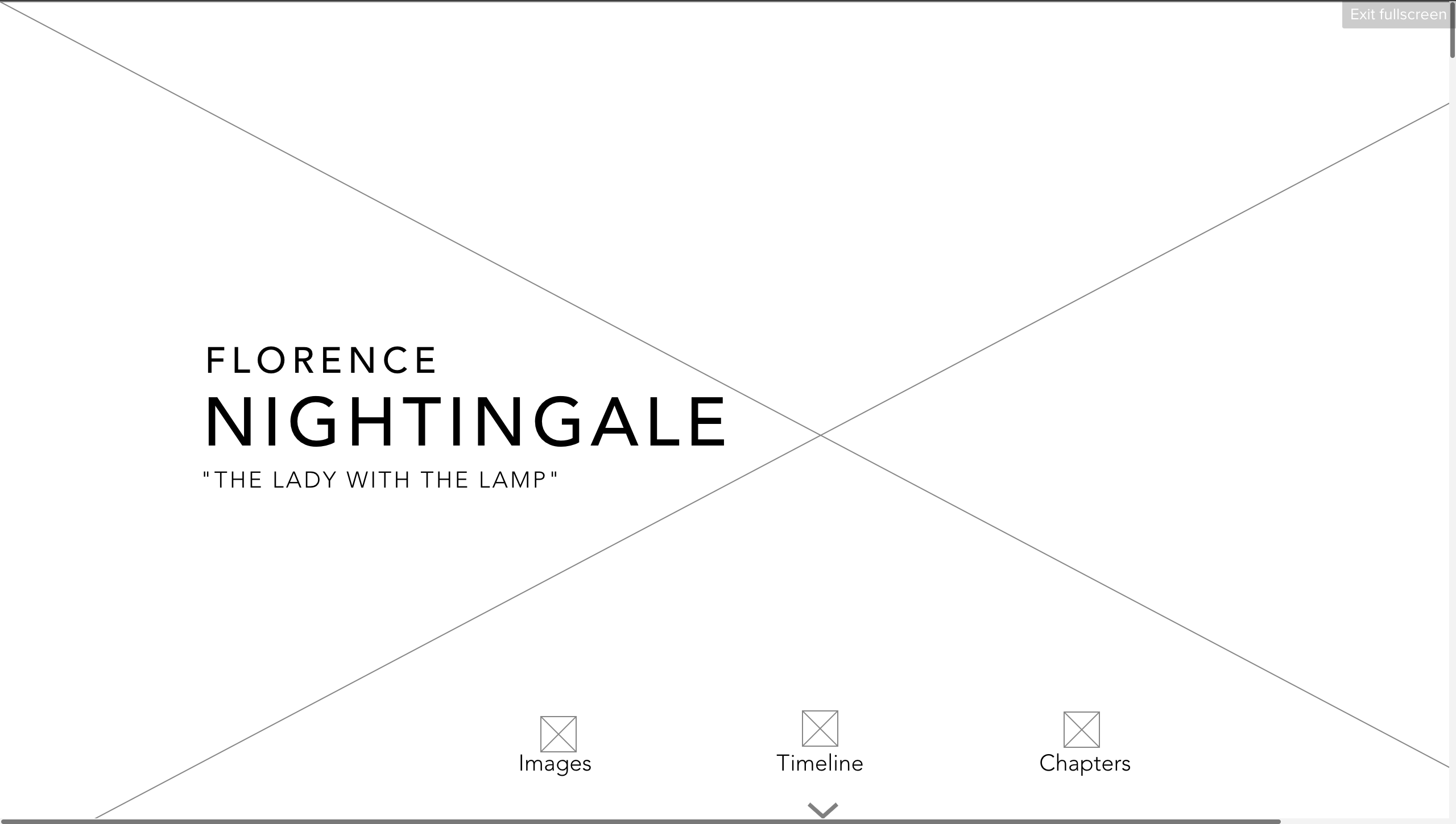 Florence Nightingale Project